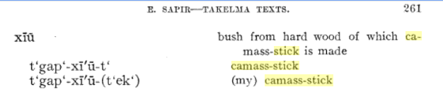 “Camas stick” revisited! | Chinook Jargon